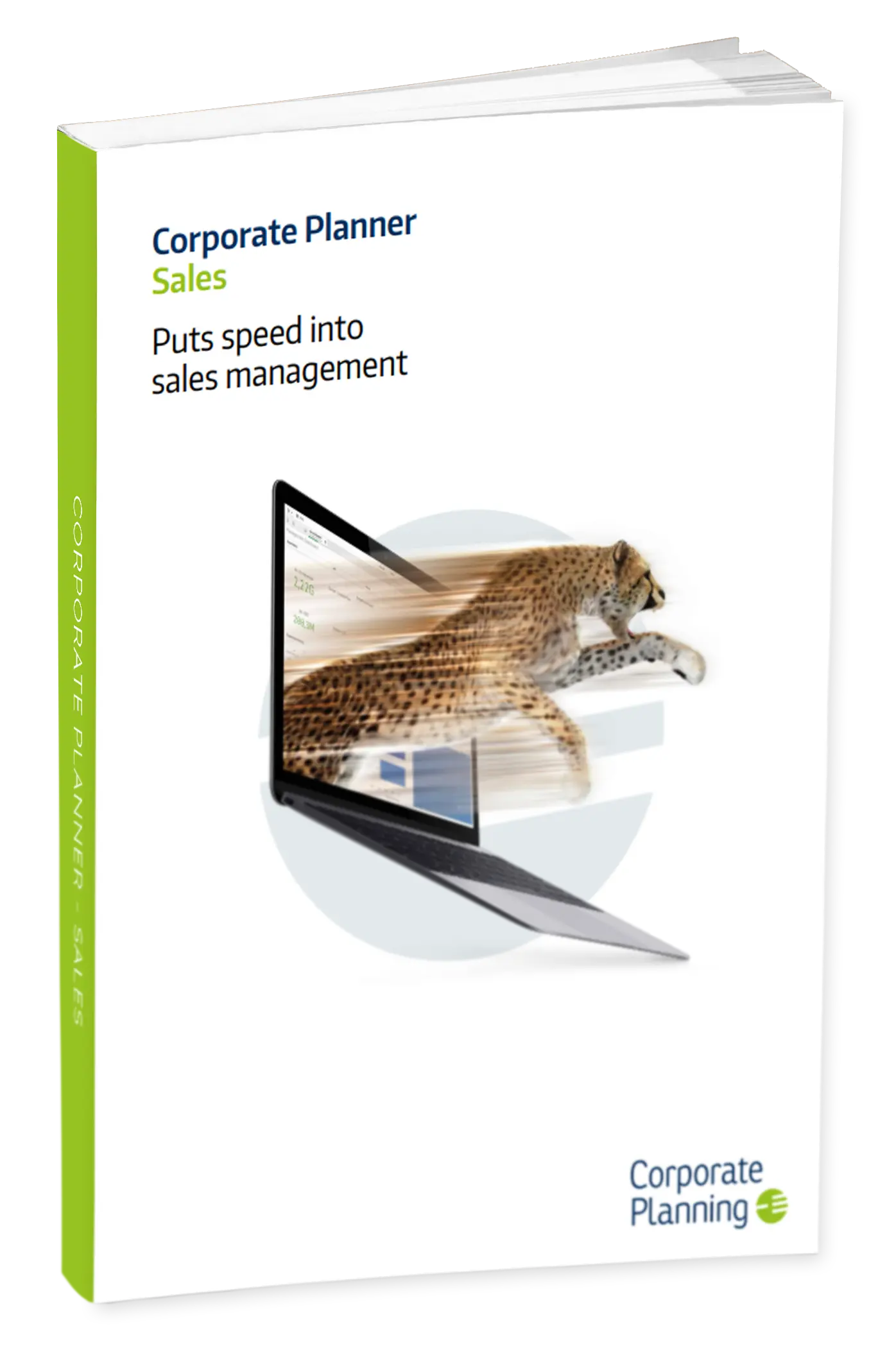 Download Free Corporate Planner Sales Guide | Account-Ability
